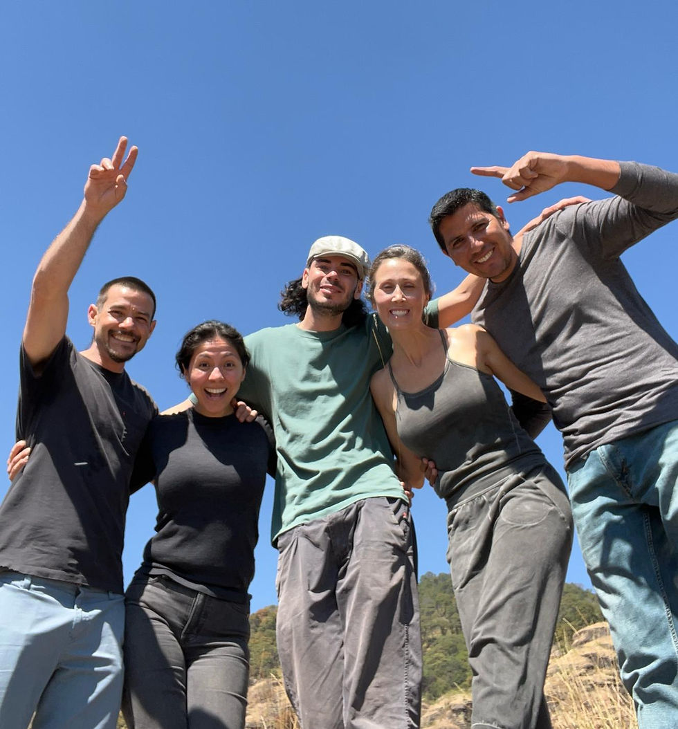 IbogaQuest: Holistic Ibogaine Therapy & Retreat in Mexico